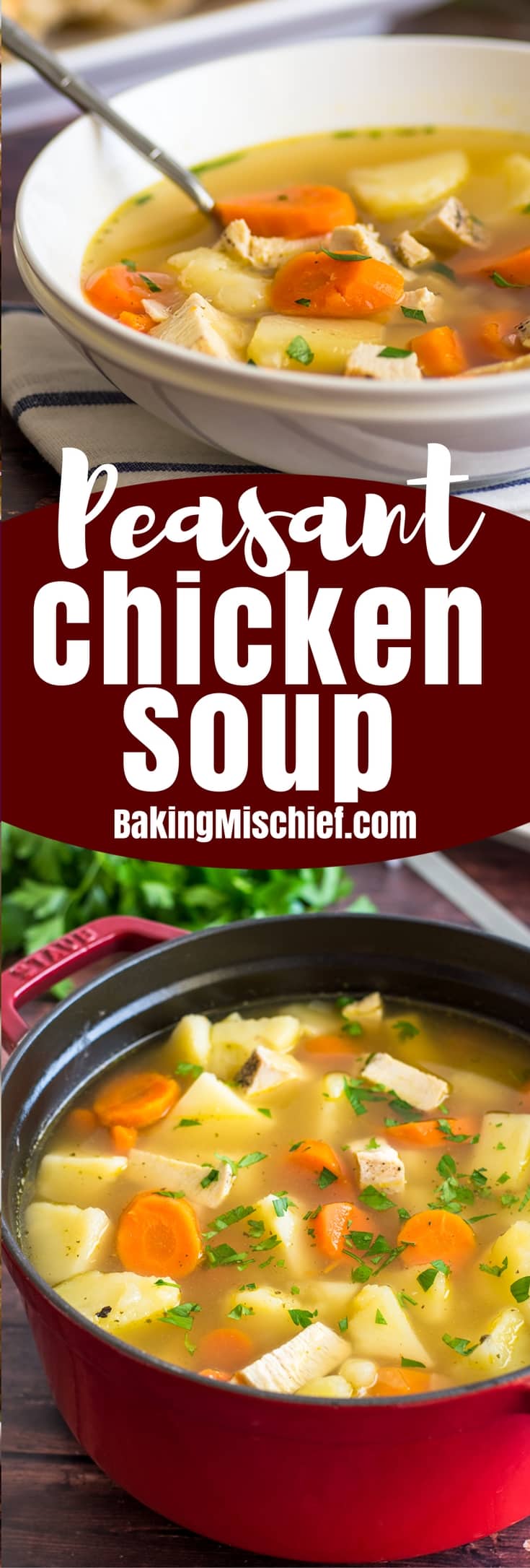 Chicken Peasant Soup