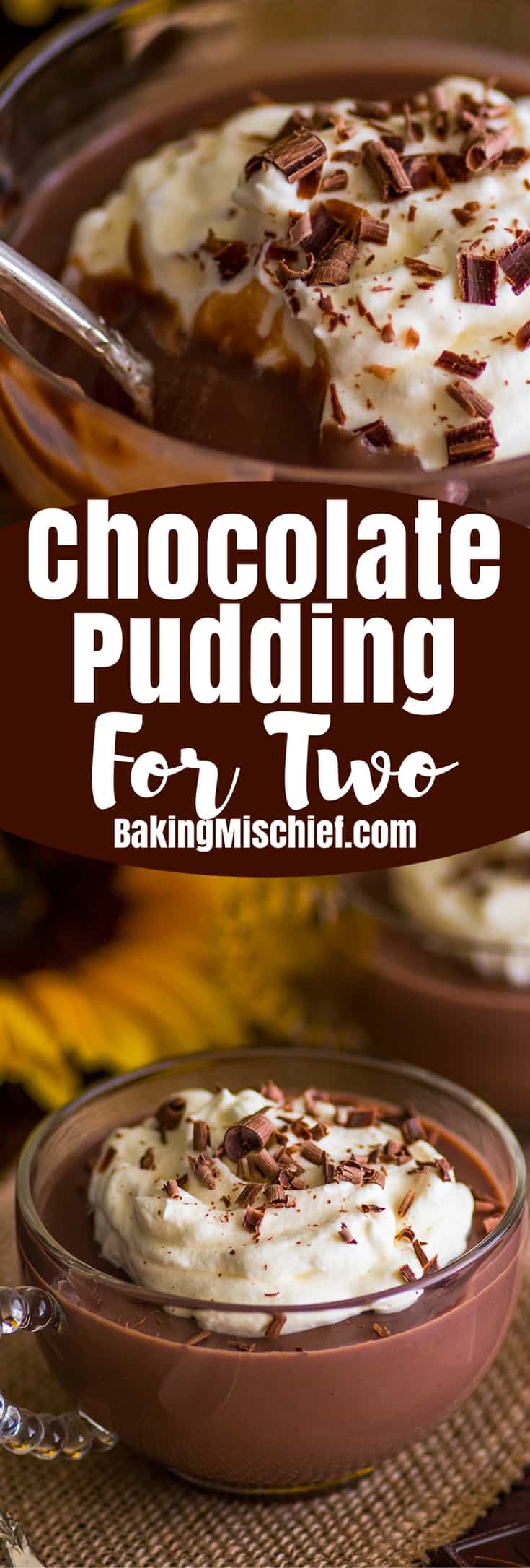 Easy Chocolate Pudding for Two - Baking Mischief